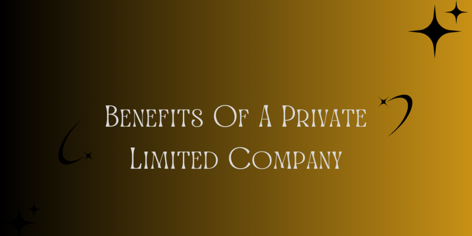 Benefits Of A Private Limited Company - Alexander Ene
